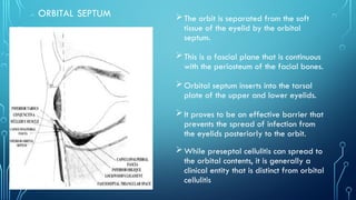 orbital c subperiosteal abscess and orbital contents | PPT