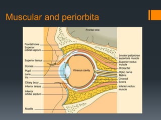 Orbital complications of acute Rhinosinusitis | PPTX