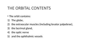 Orbital contents and eyeballgvhGGJAyWiwgwkwyyuwyw | PPTX
