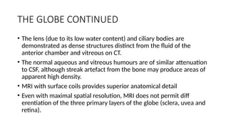 Orbital contents and eyeballgvhGGJAyWiwgwkwyyuwyw | PPTX