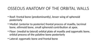 Orbital contents and eyeballgvhGGJAyWiwgwkwyyuwyw | PPTX