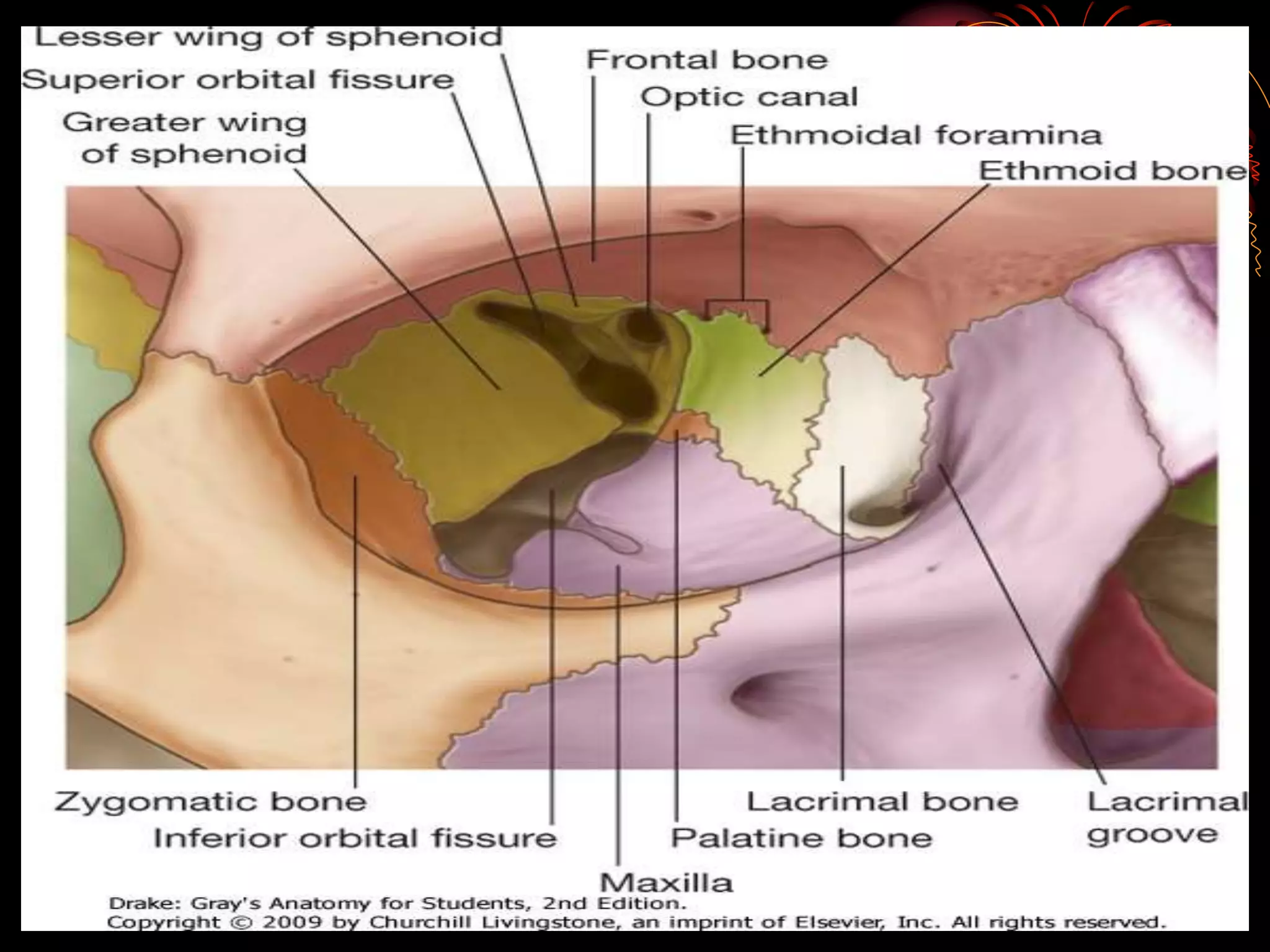 Orbital disaese lec by dr abdul basir safi | PDF