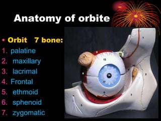 Orbital disaese lec by dr abdul basir safi | PDF