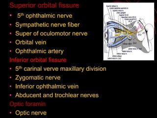 Orbital disaese lec by dr abdul basir safi | PDF