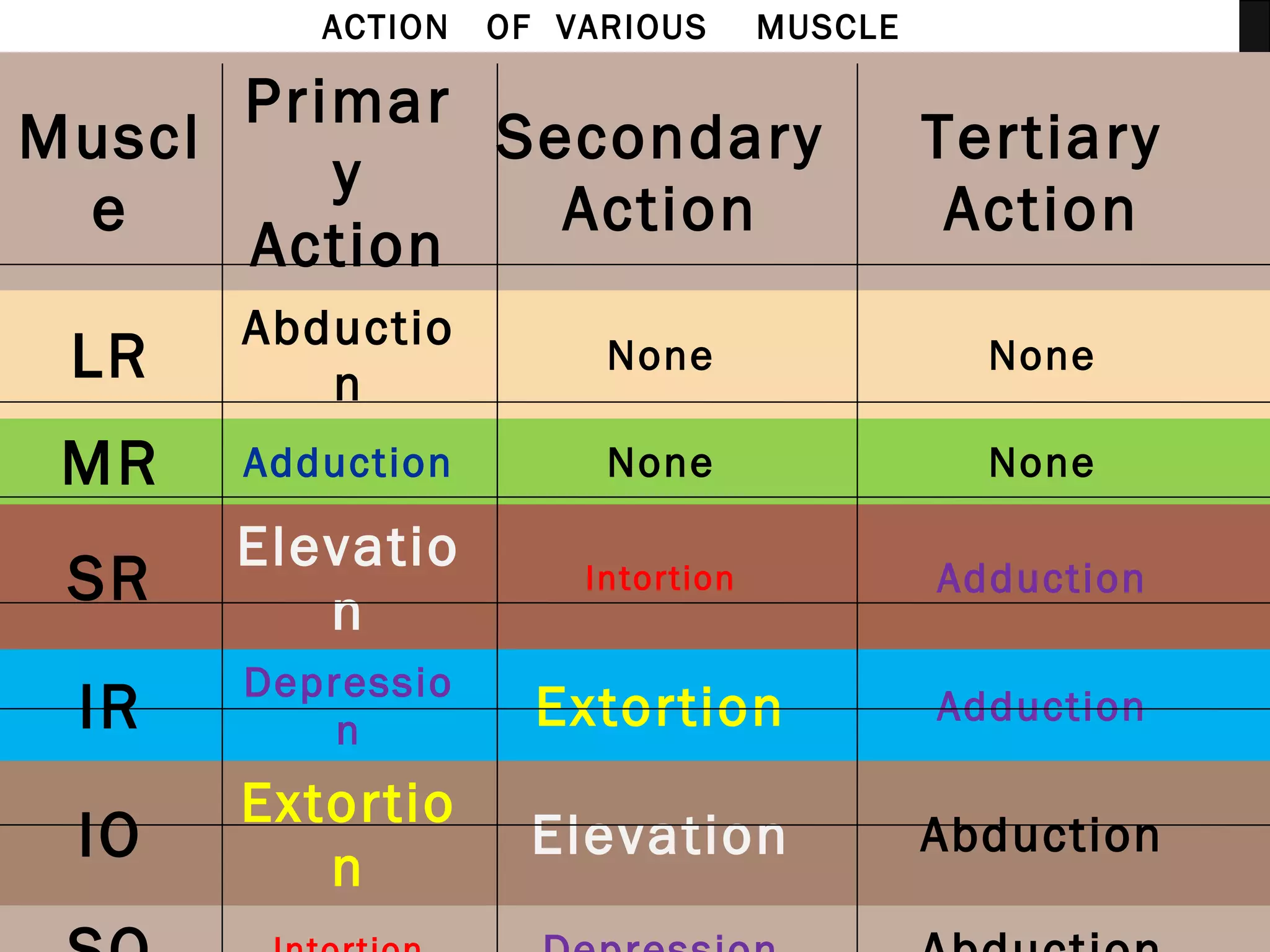 Orbital fracture | PPT