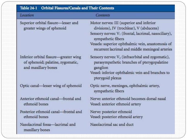 Orbital Fractures | PPTX