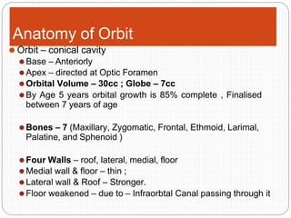 Orbital Fractures | PPTX