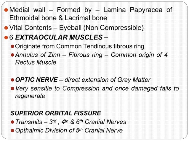 Orbital Fractures | PPTX