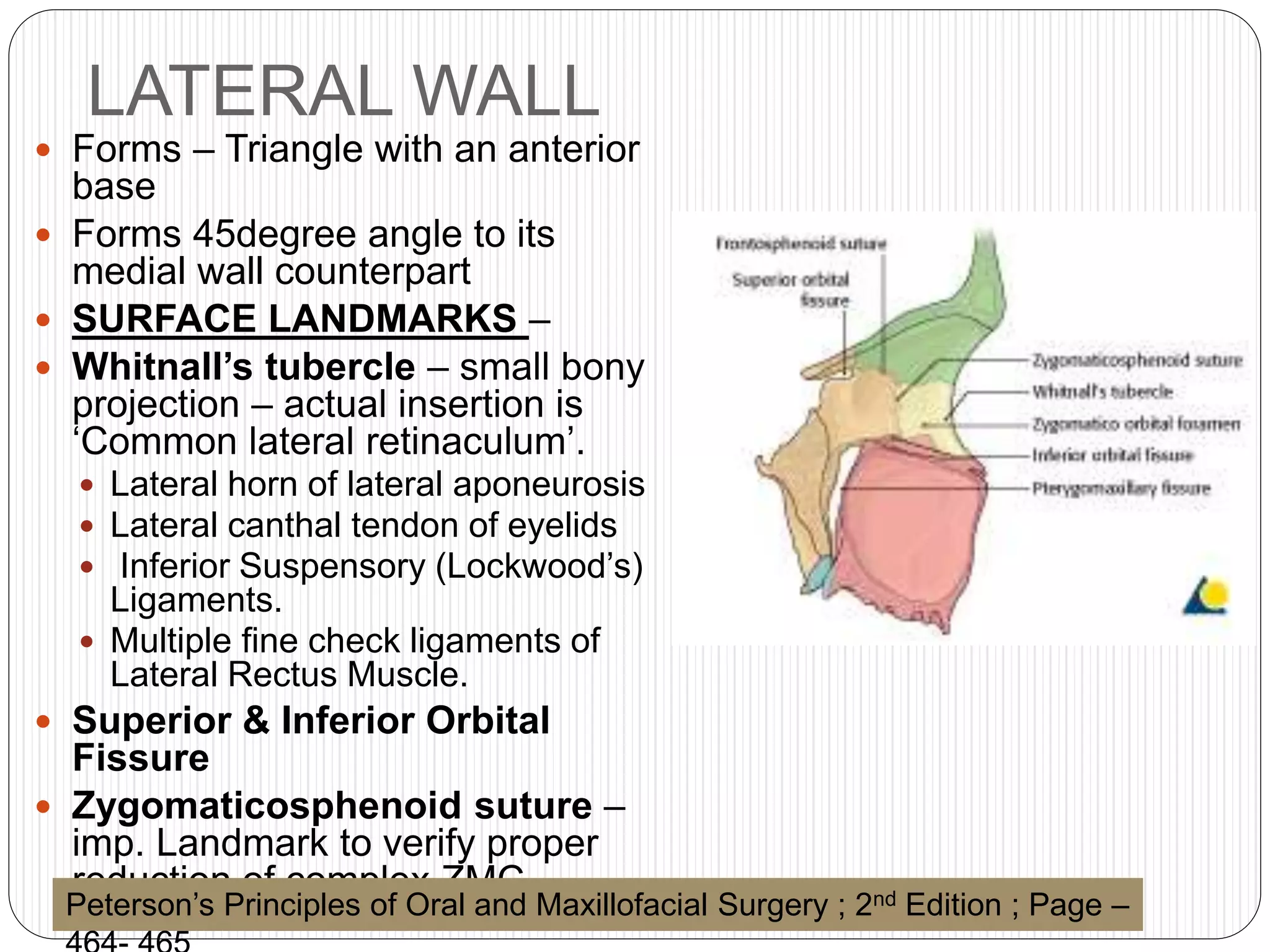 Orbital fractures | PPTX