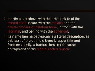 Orbital fractures ih | PPT