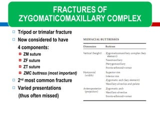 Orbital Fractures - The Role of an Ophthalmologist | PPT