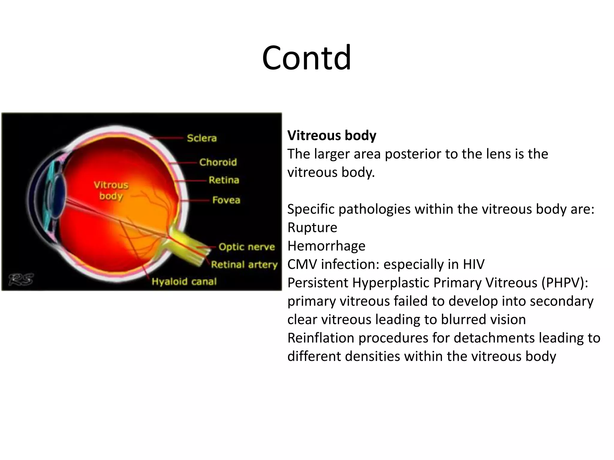 Imaging in orbital pathology | PPTX