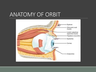 ORBITAL PROSTHESIs prosthodontics presentation | PPTX