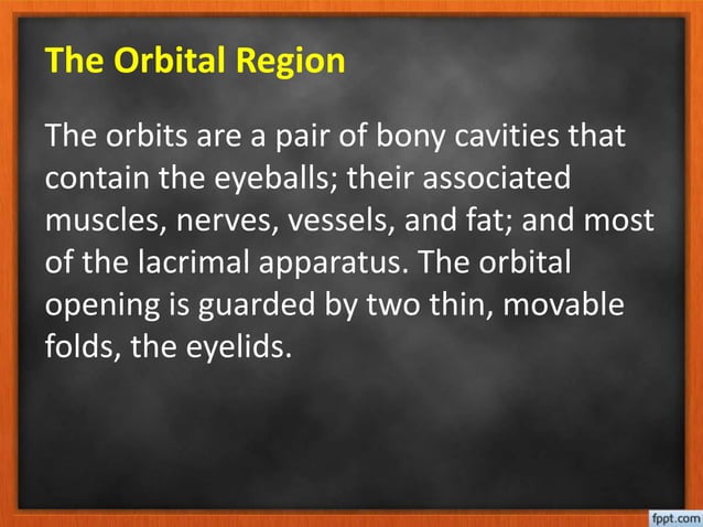 Orbital region | PPT