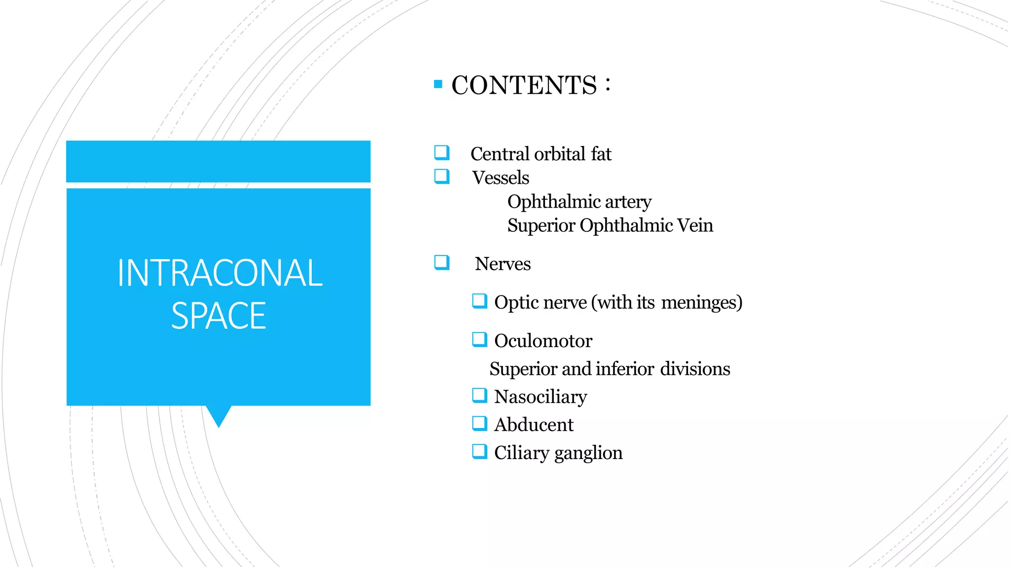 Orbital spaces | PPTX