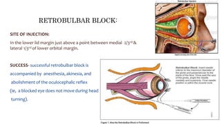 Orbital spaces | PPTX