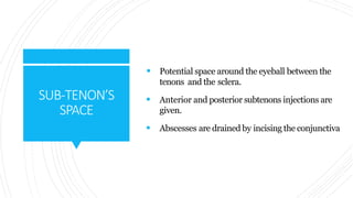 Orbital spaces | PPTX