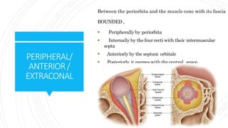 Orbital spaces | PPT