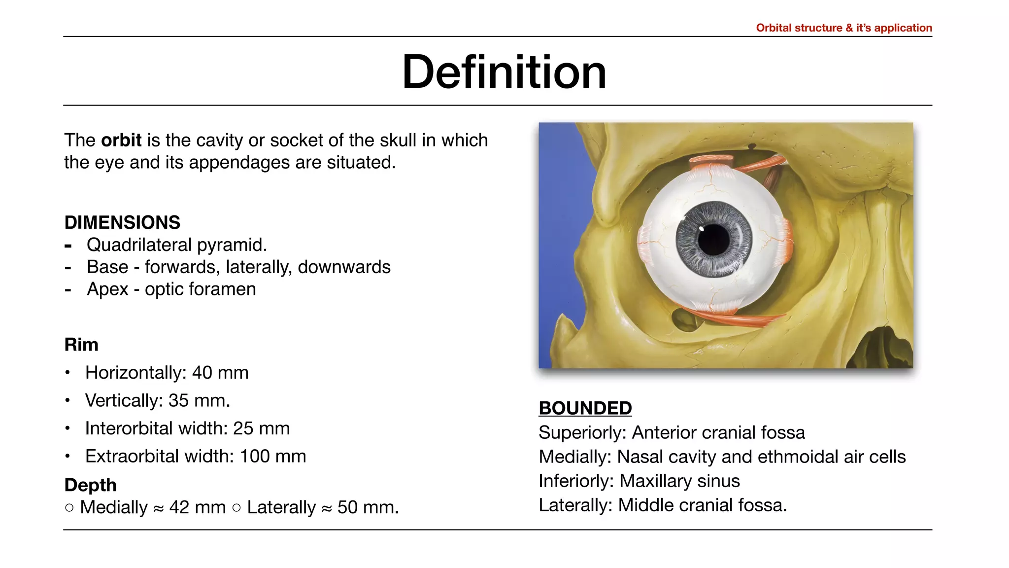 Orbital structure | PDF