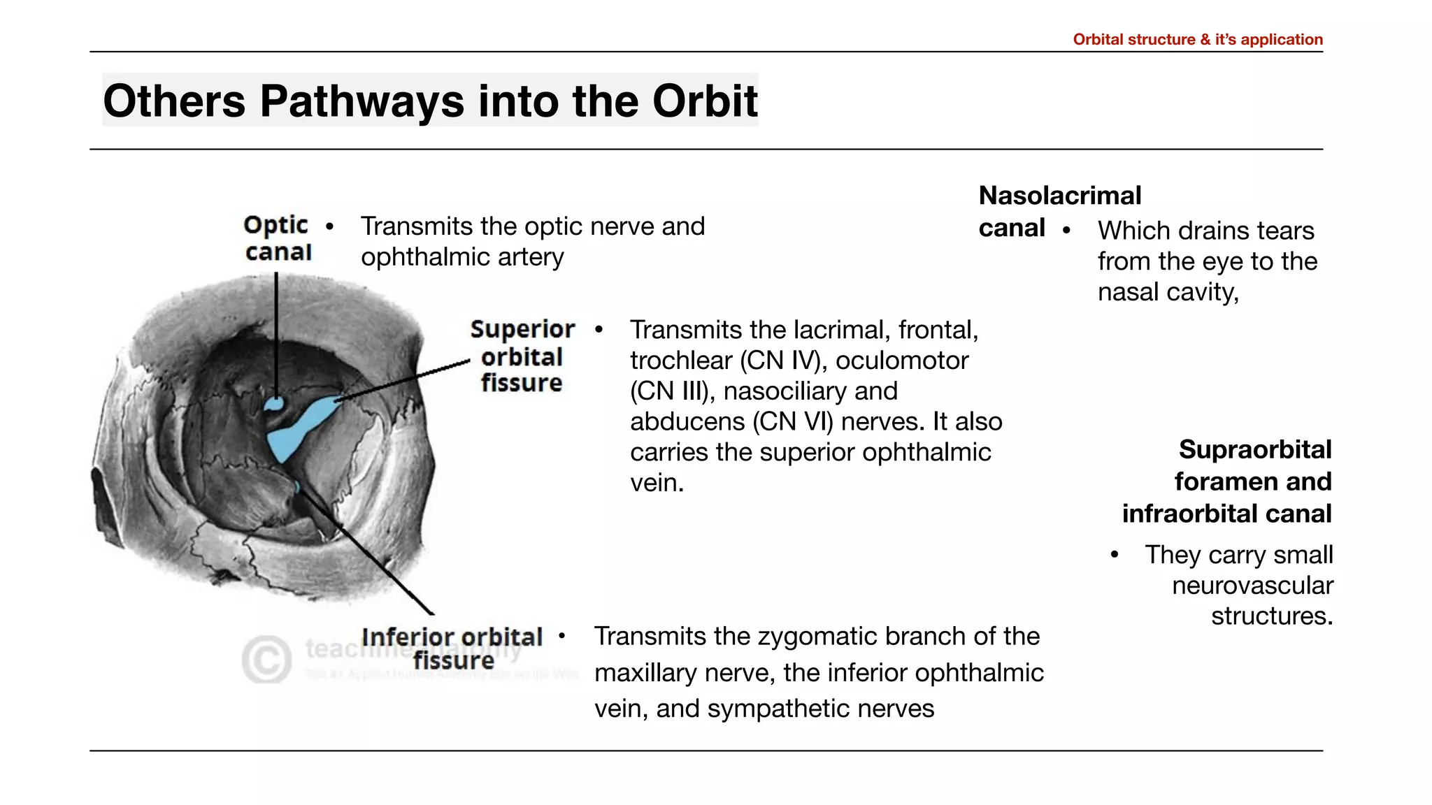 Orbital structure | PDF