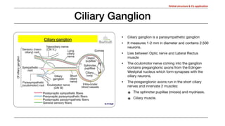 Orbital structure | PDF