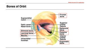 Orbital structure | PDF