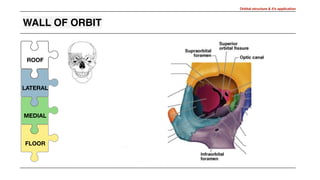 Orbital structure | PDF