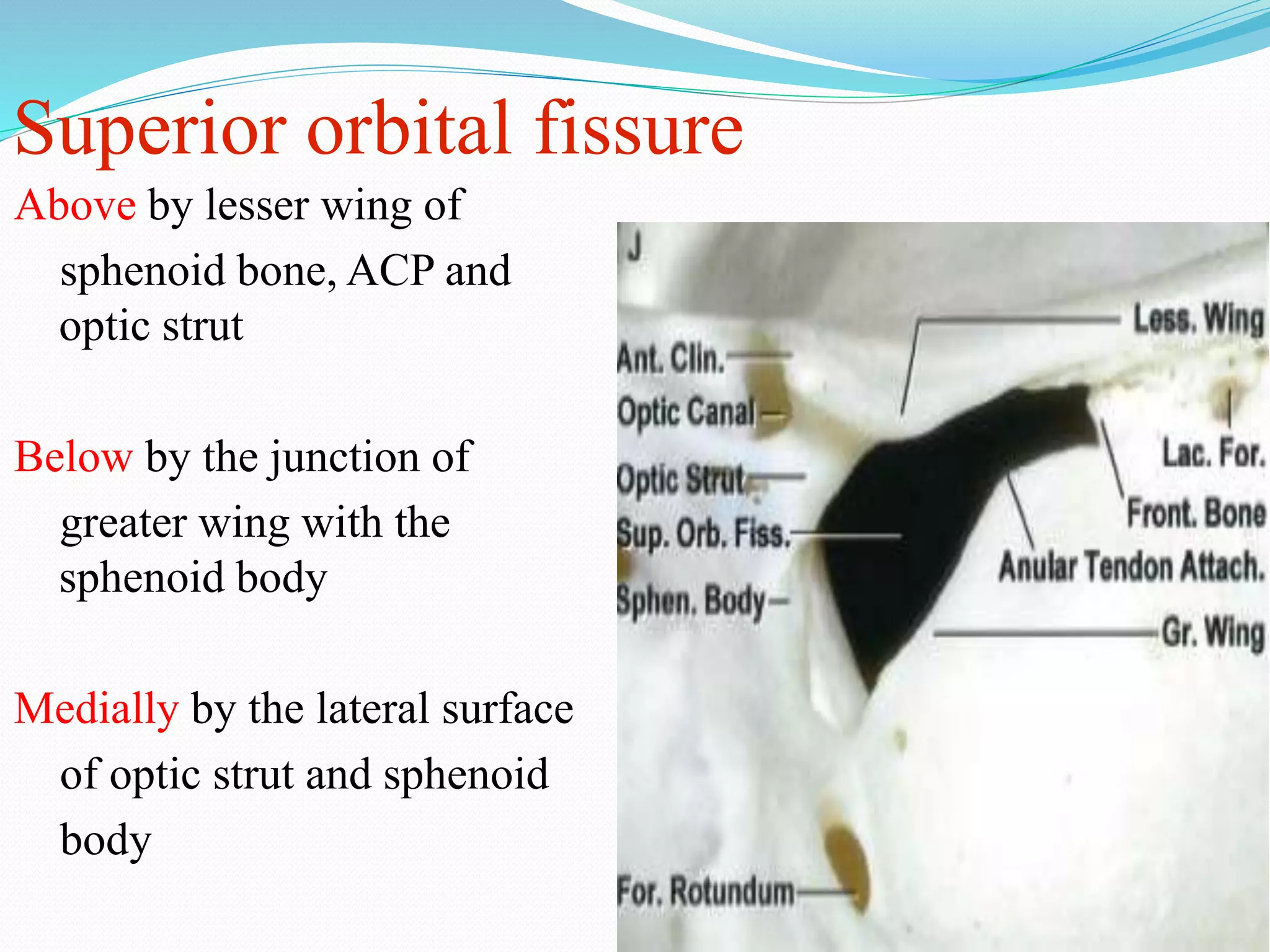 Orbital tumor and surgical approaches | PPTX
