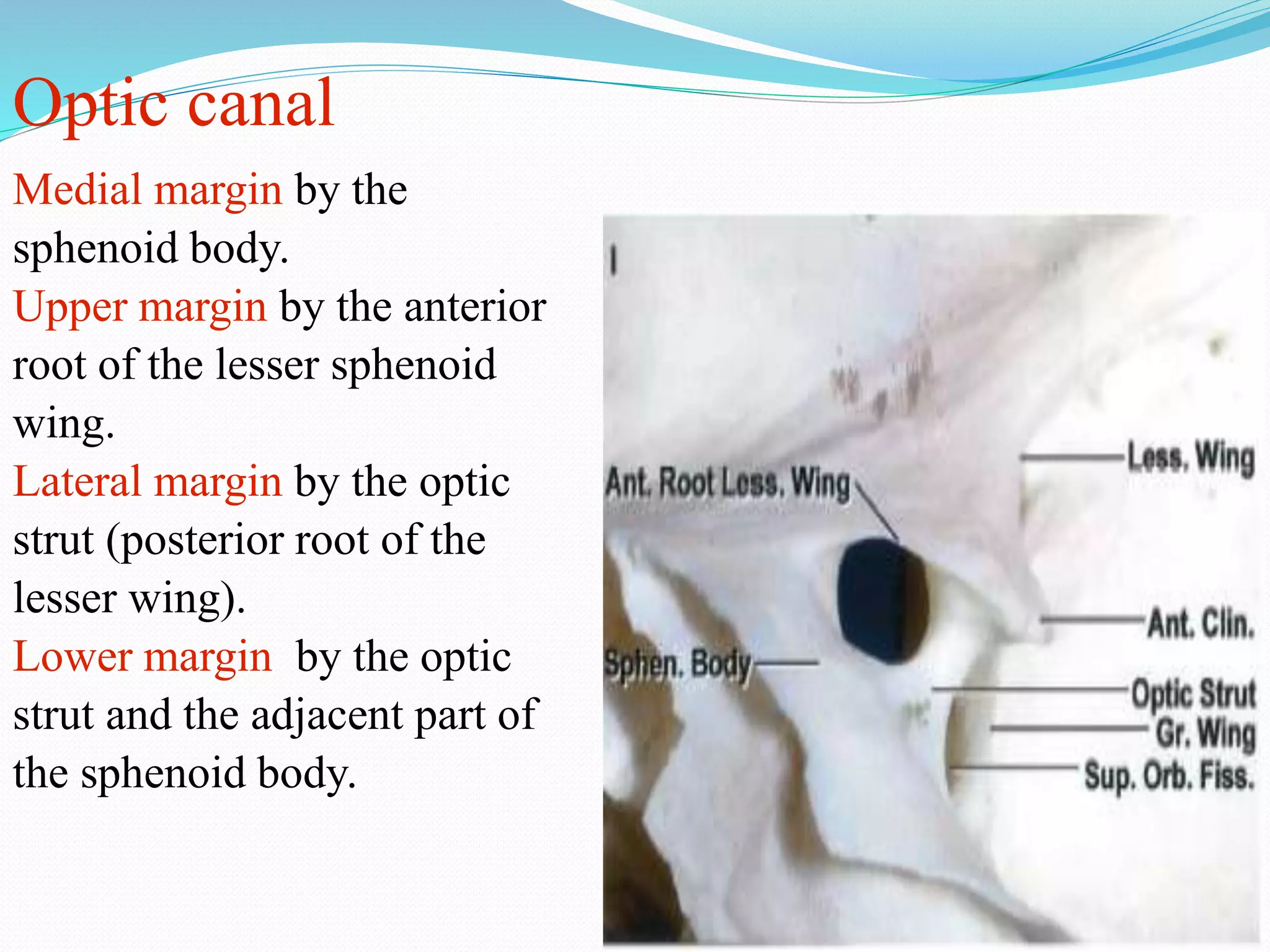 Orbital tumor and surgical approaches | PPTX