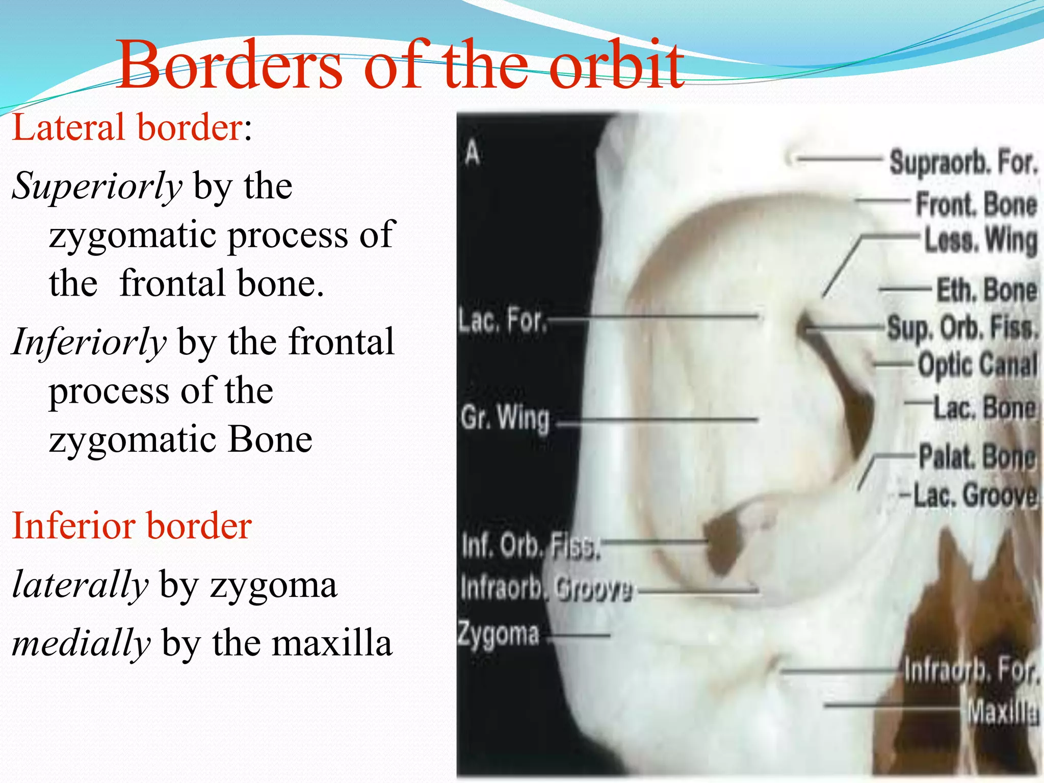 Orbital tumor and surgical approaches | PPTX