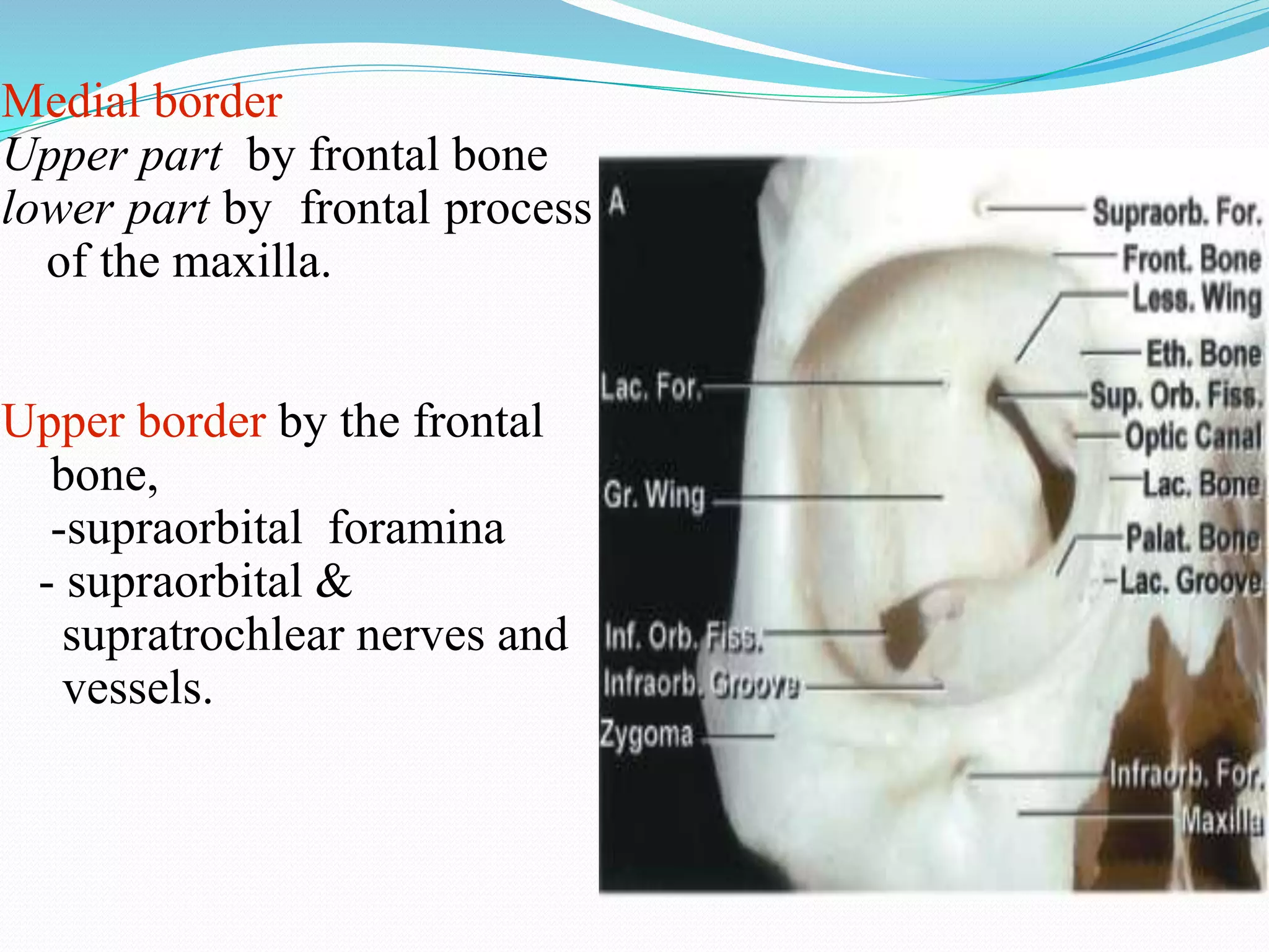 Orbital tumor and surgical approaches | PPTX