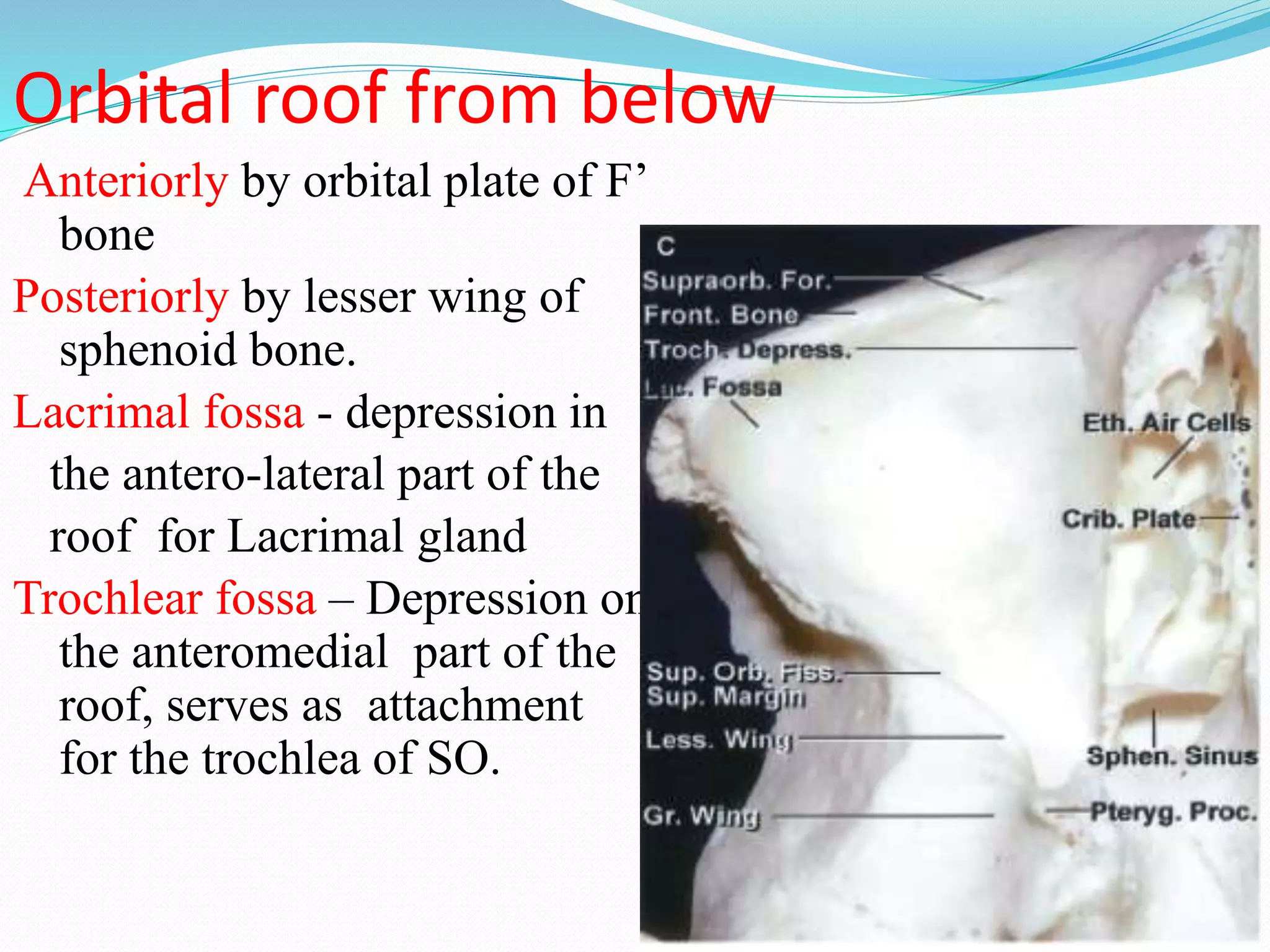 Orbital tumor and surgical approaches | PPTX