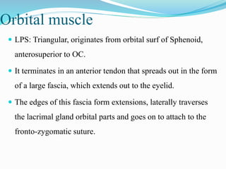 Orbital tumor and surgical approaches | PPTX