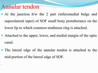 Orbital tumor and surgical approaches | PPTX