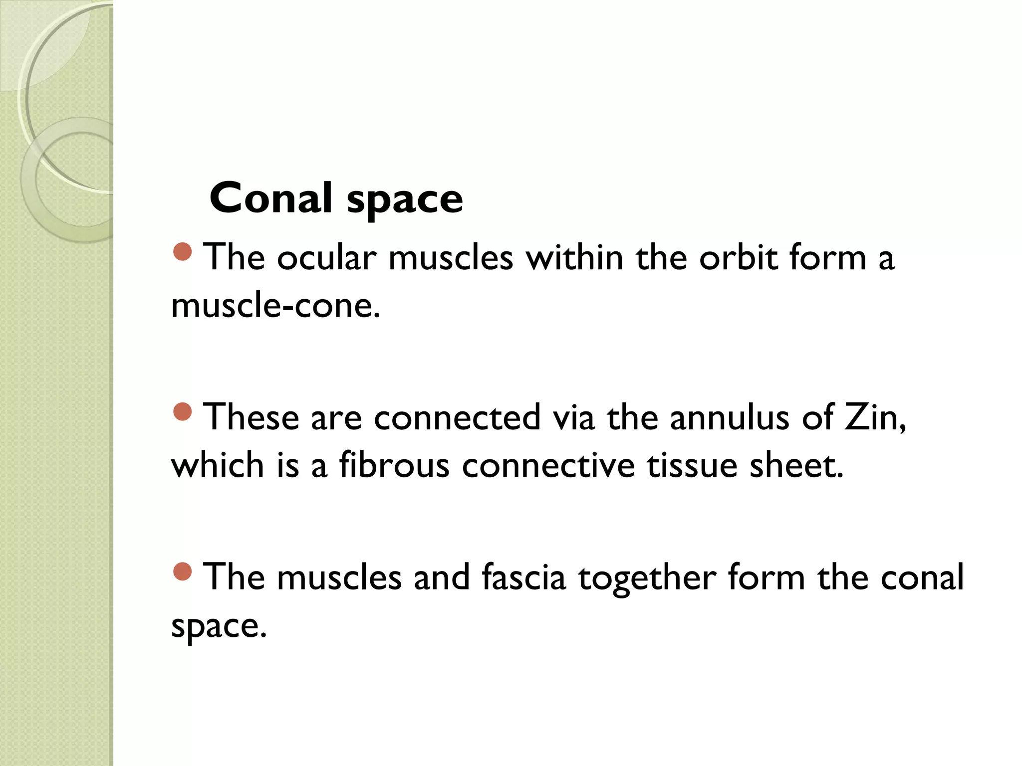 Orbital tumours | PPT