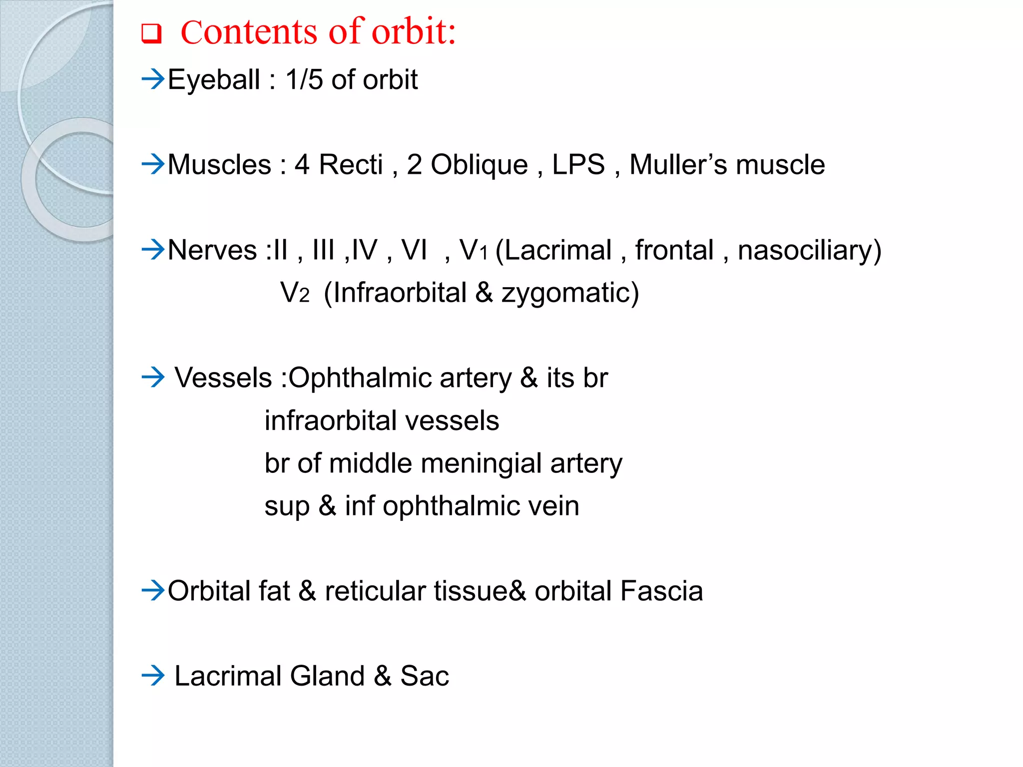 Orbit anatomy | PPTX