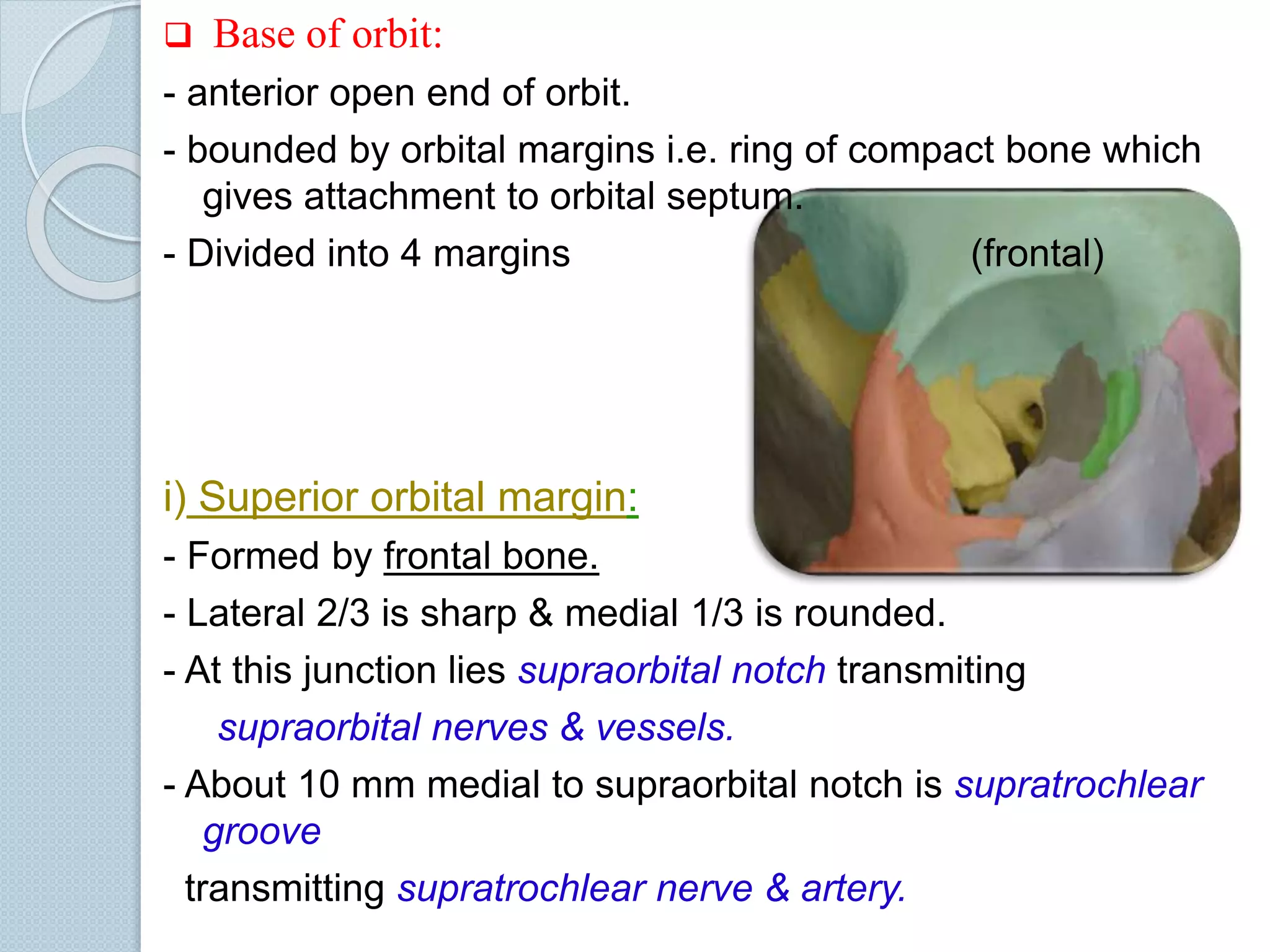Orbit anatomy | PPTX