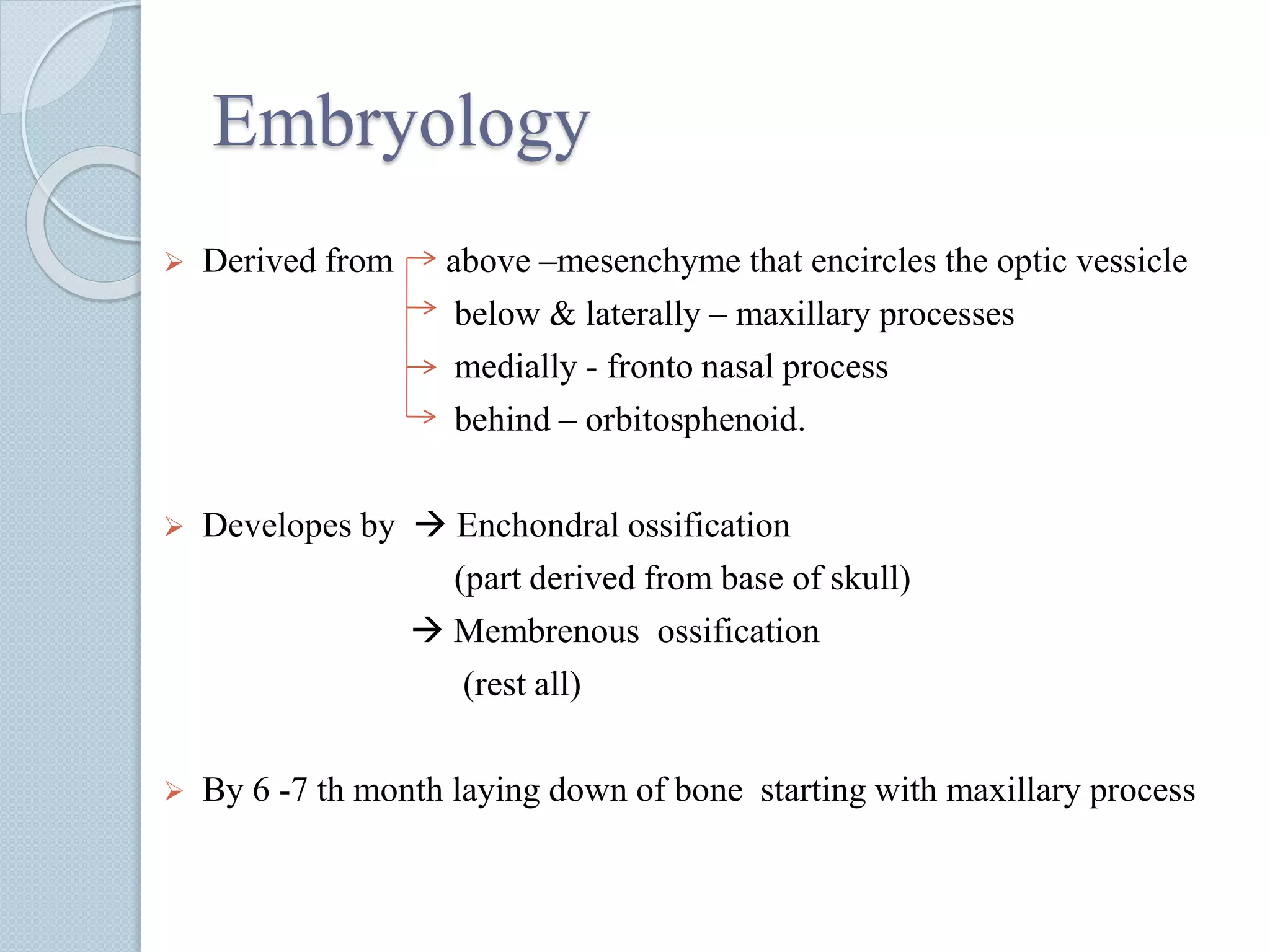 Orbit anatomy | PPTX