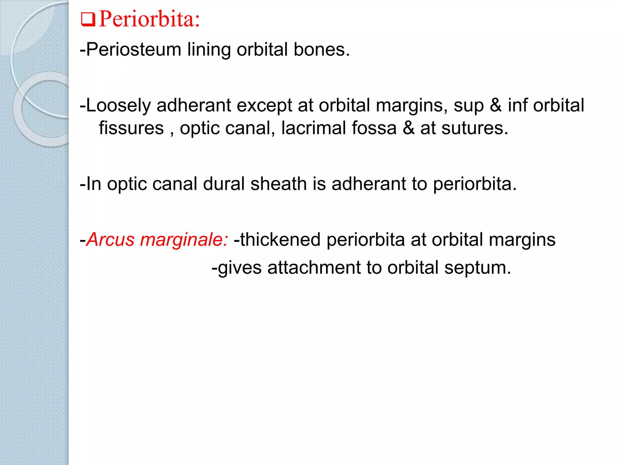 Orbit anatomy | PPTX