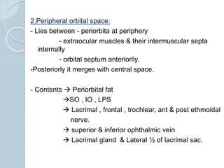 Orbit anatomy | PPTX