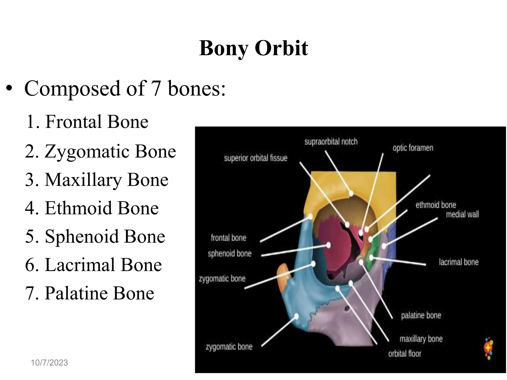 Orbit anatomy.ppt