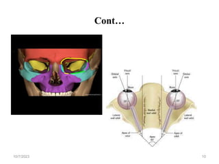 Orbit anatomy.ppt