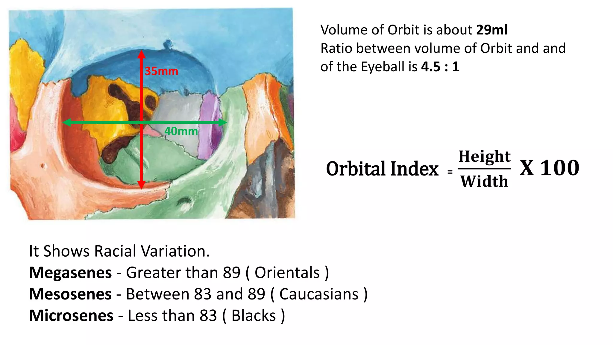 Orbit Anatomy and Surgical Spaces | PPTX