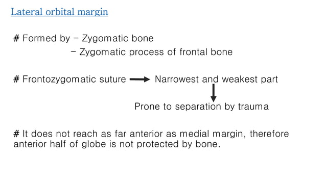 Orbit Anatomy and Surgical Spaces | PPTX | Ear, Nose and Throat ...