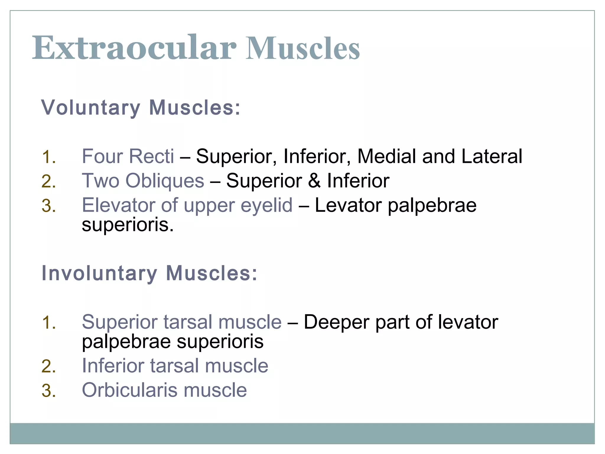 Orbit and Extra-Ocular Muscles | PPT