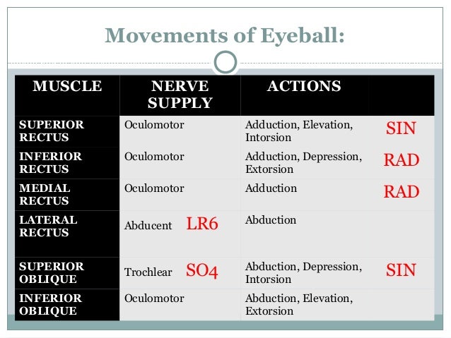 Orbit and Extra-Ocular Muscles