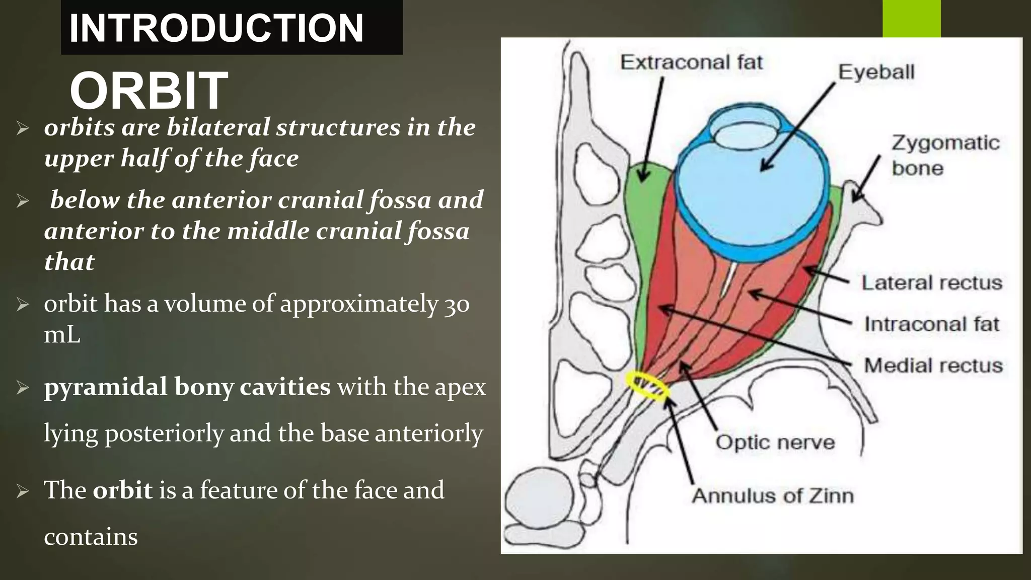 Radiological anatony of orbit | PPTX
