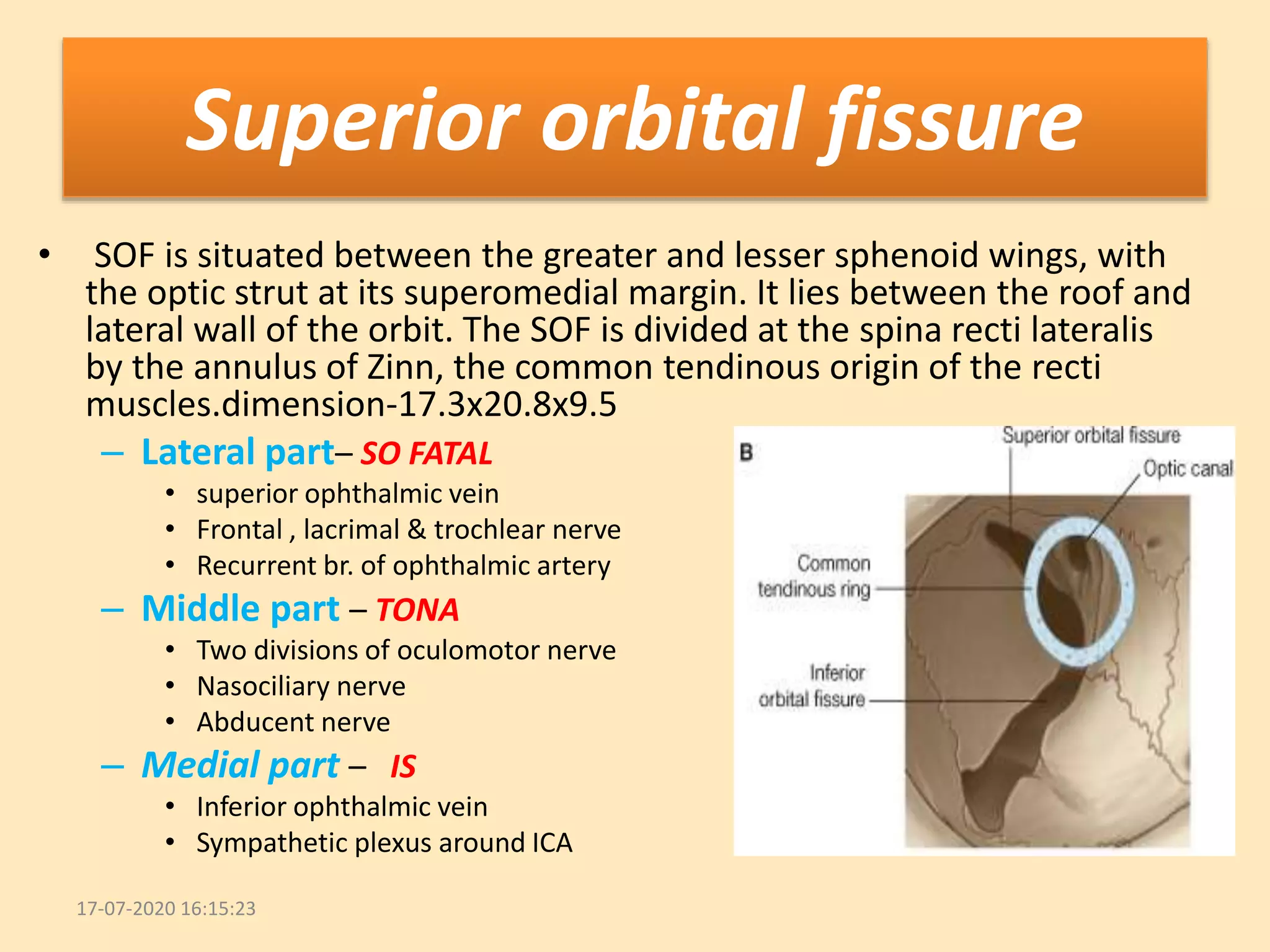 Surgical Anatomy of Orbit | PPTX