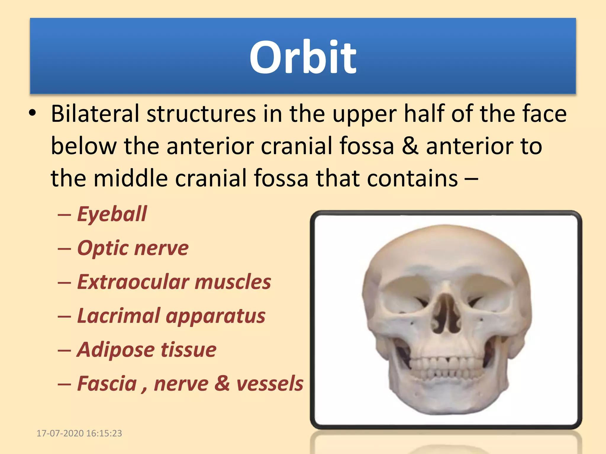 Surgical Anatomy of Orbit | PPTX