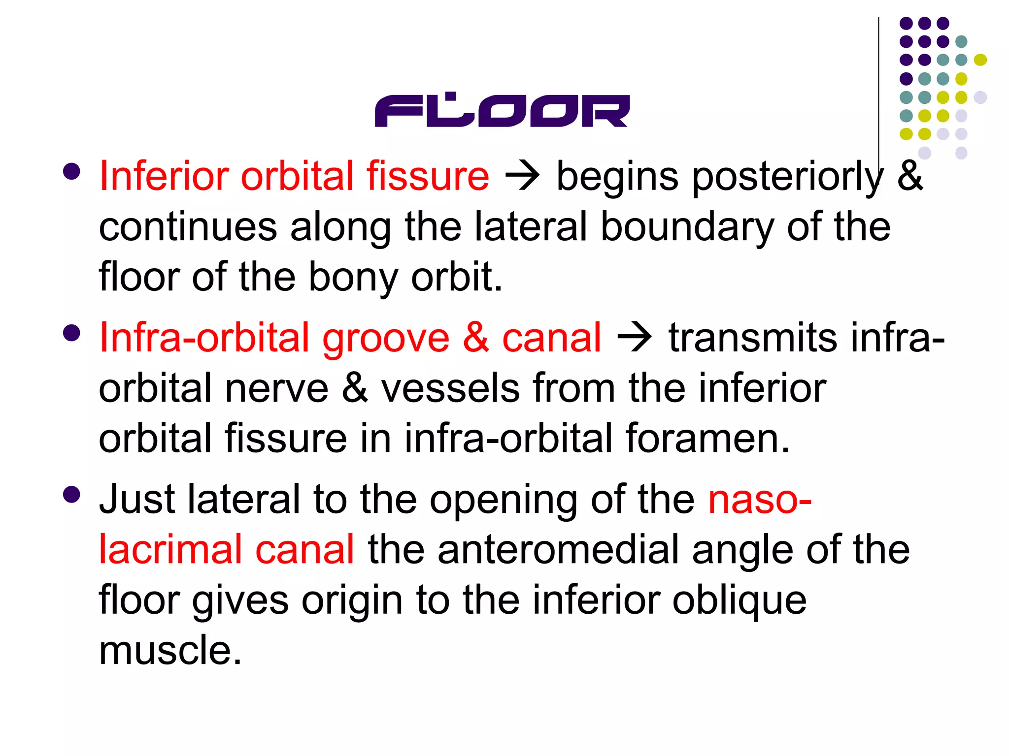 Bony Orbit_ eyeball ppt | PPT